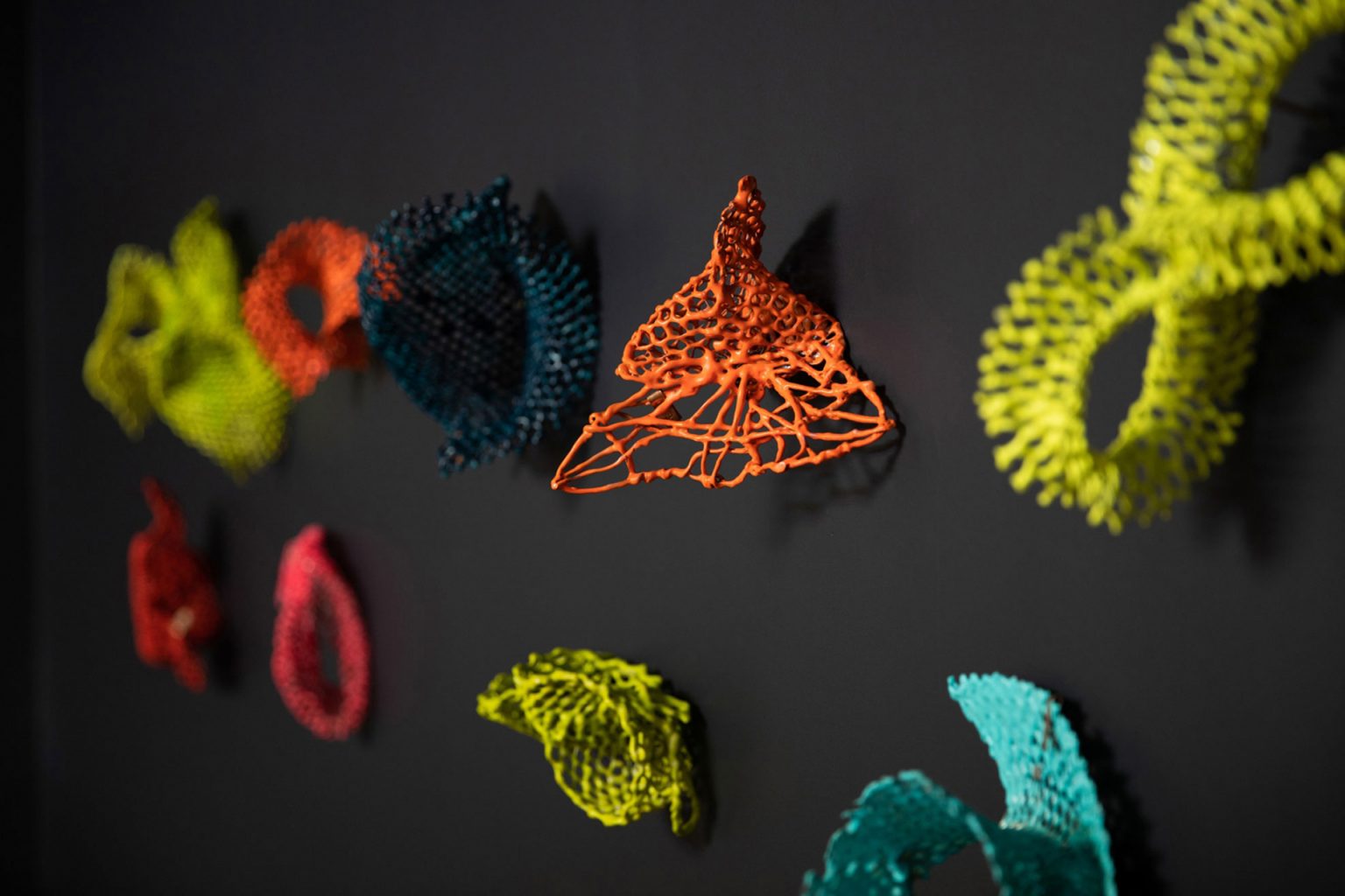 Curiosity Series – Kelly Sheppard Murray